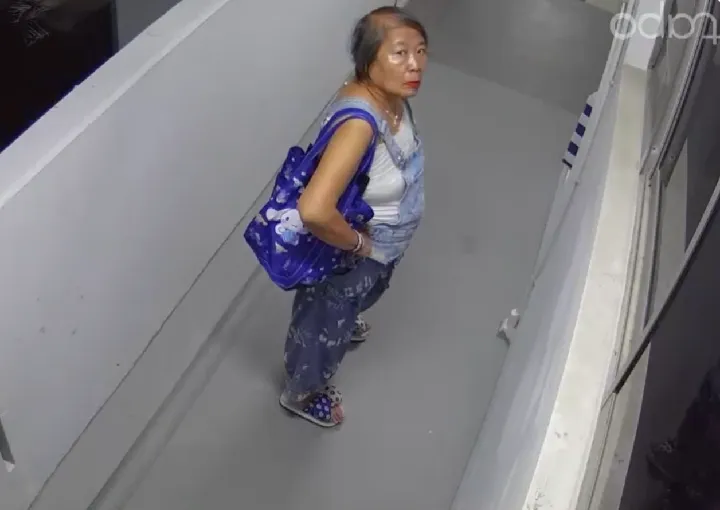 邻居纷争不断！武吉班让老太太骚扰邻居26年 - FoodieSG