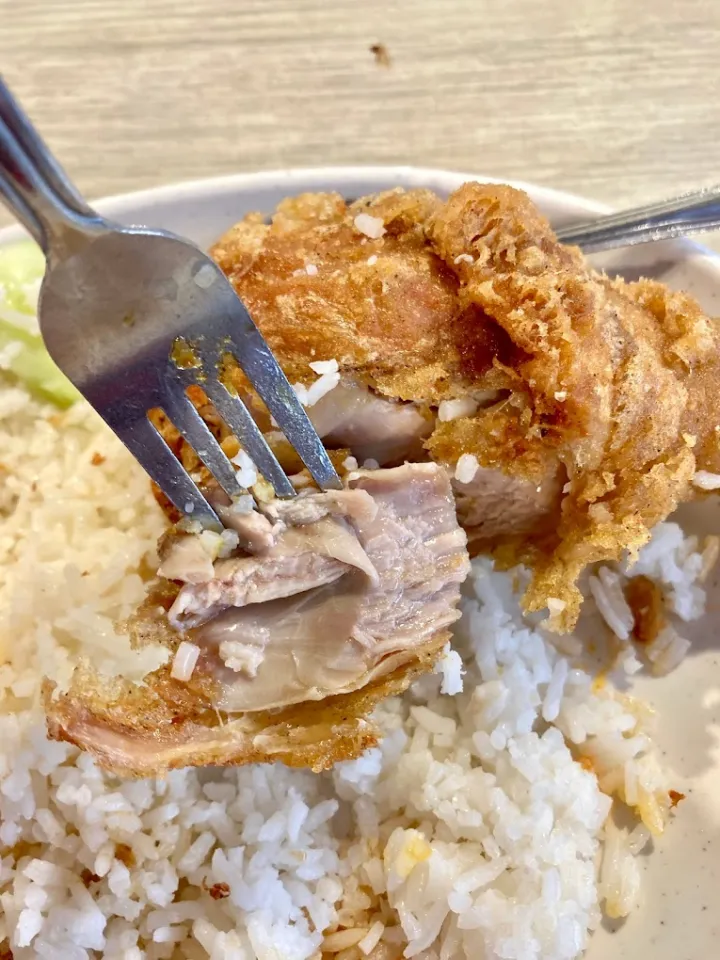 从工程师到小贩！ 22年椰浆饭“天天来椰浆饭”拉下铁门 - FoodieSG