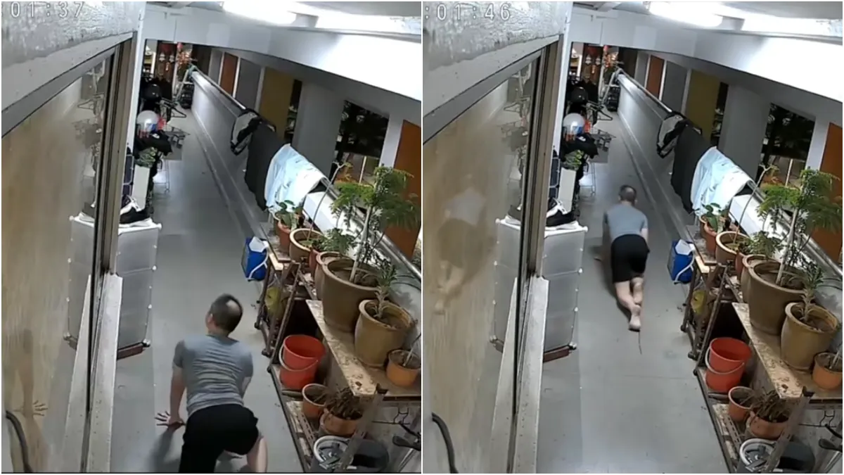 新加坡“抓老鼠”活动重磅回归！奖金高达S$12万！ - FoodieSG